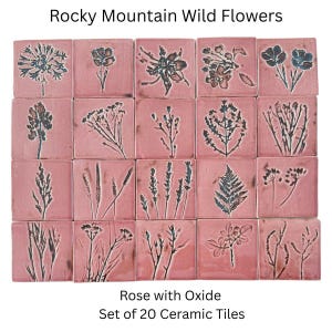 Wild Flower Ceramic Tile Set of 20 Different Flowers and Grasses - Etsy