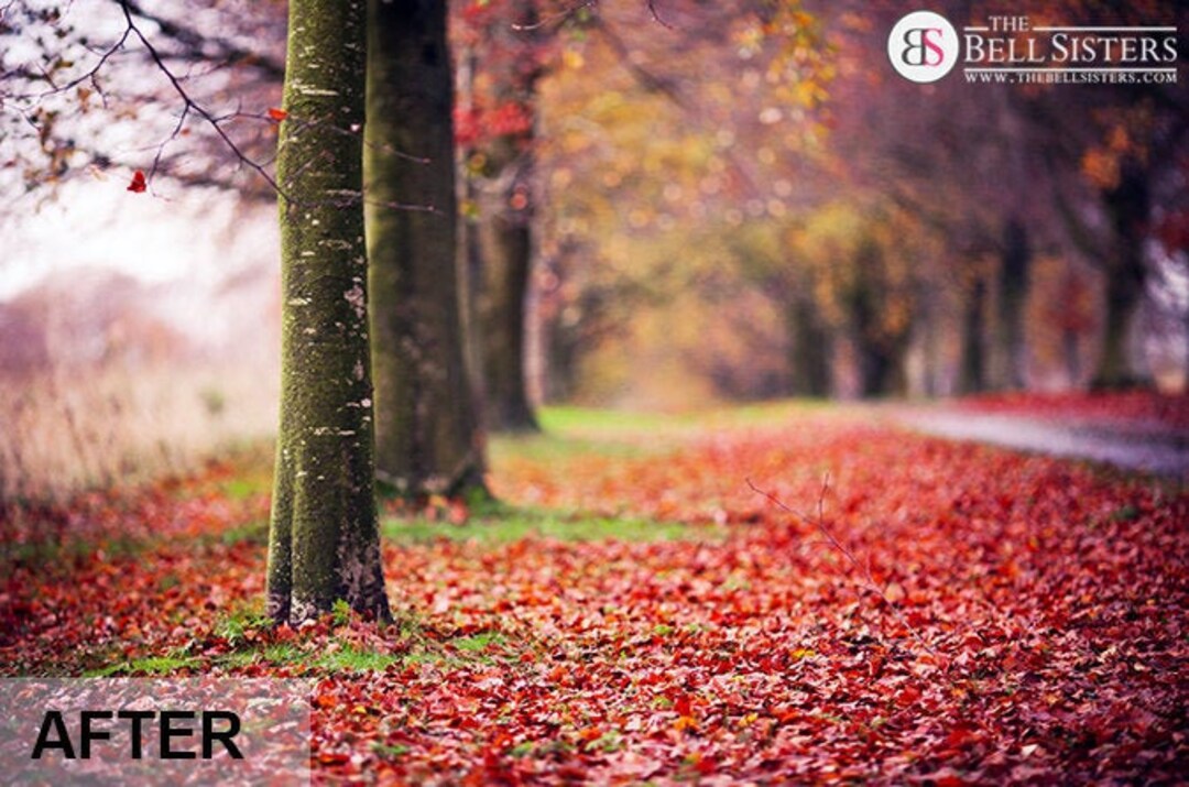 Autumn Mobile Presets, Fall Presets, Autumn Lightroom Presets, Blogger ...