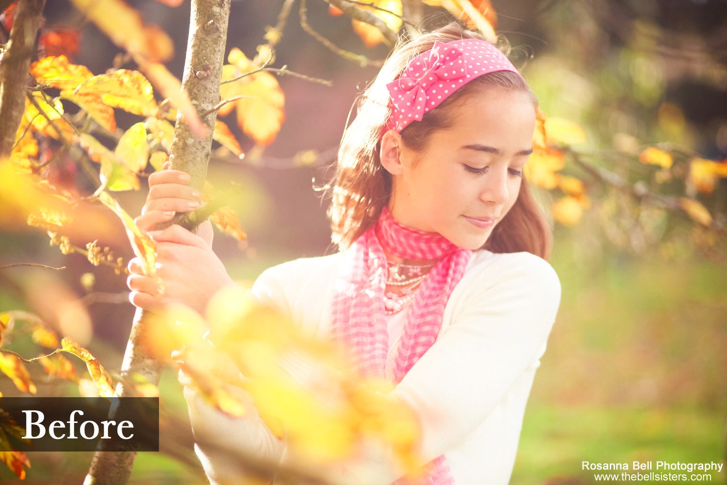 Autumn Overlays, Photoshop Overlay, Leaf Overlay, Leaf Textures, Autumn ...