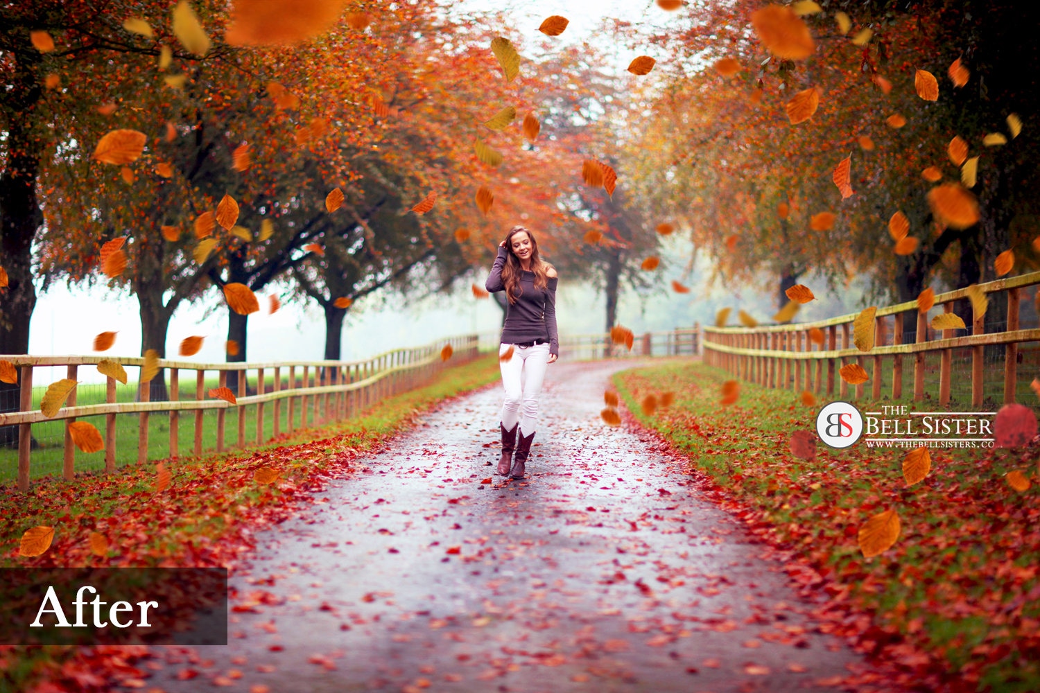 Autumn Overlays, Photoshop Overlay, Leaf Overlay, Leaf Textures, Autumn ...