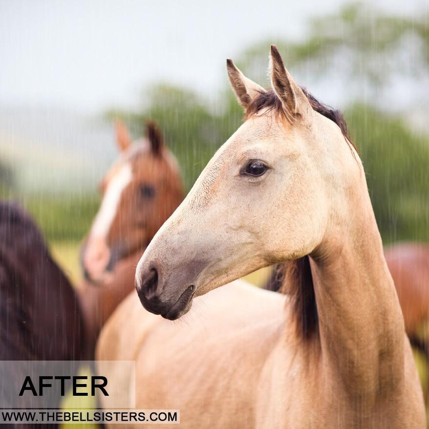 High Resolution Rain Overlays, Weather Overlays, Photoshop Overlays ...