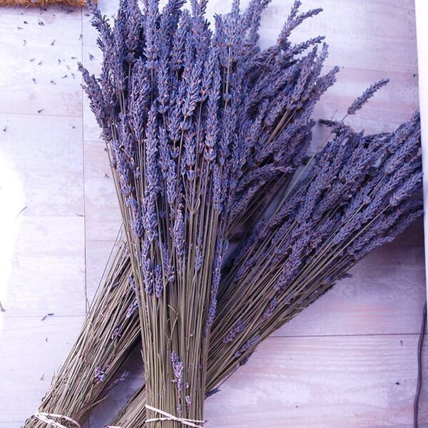 Lavender Bundles - Etsy