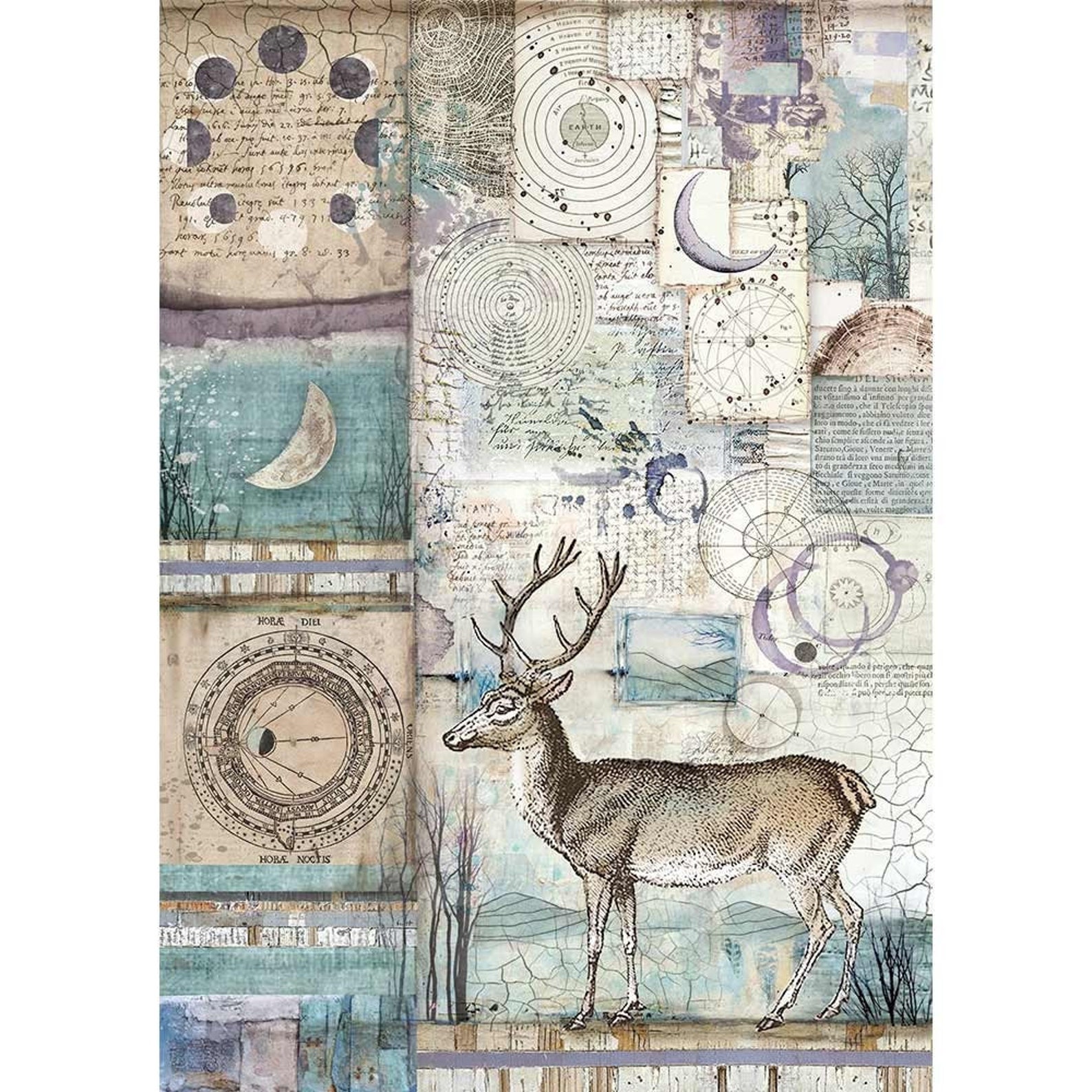 Decoupage Rice Paper A4 Cosmos Deer Stamperia Dfsa4390 size 8.26 X 13. ...