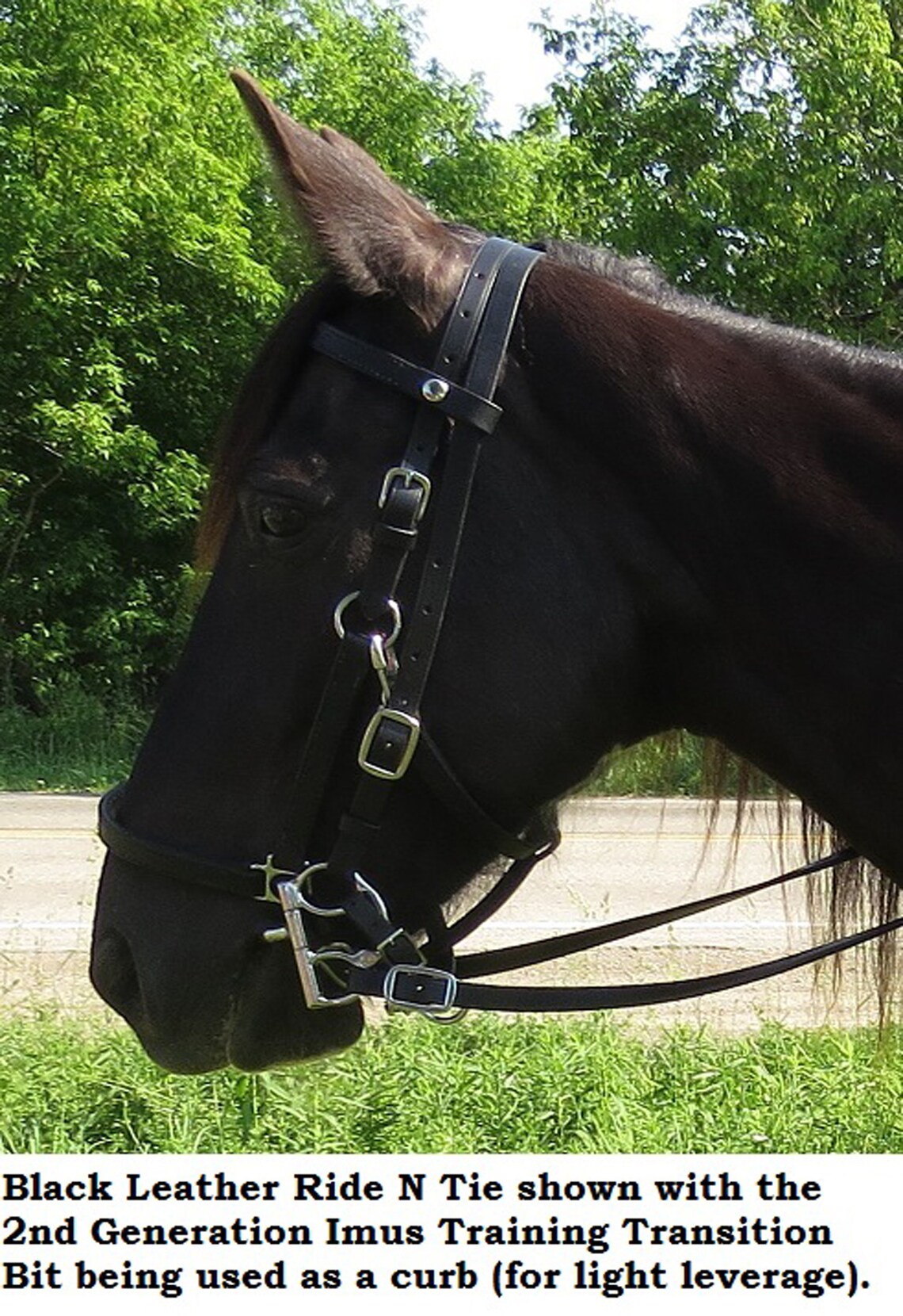 Ride N Tie Trail Bridle Easy Design Halter Bridle Combo Top Seller - Etsy