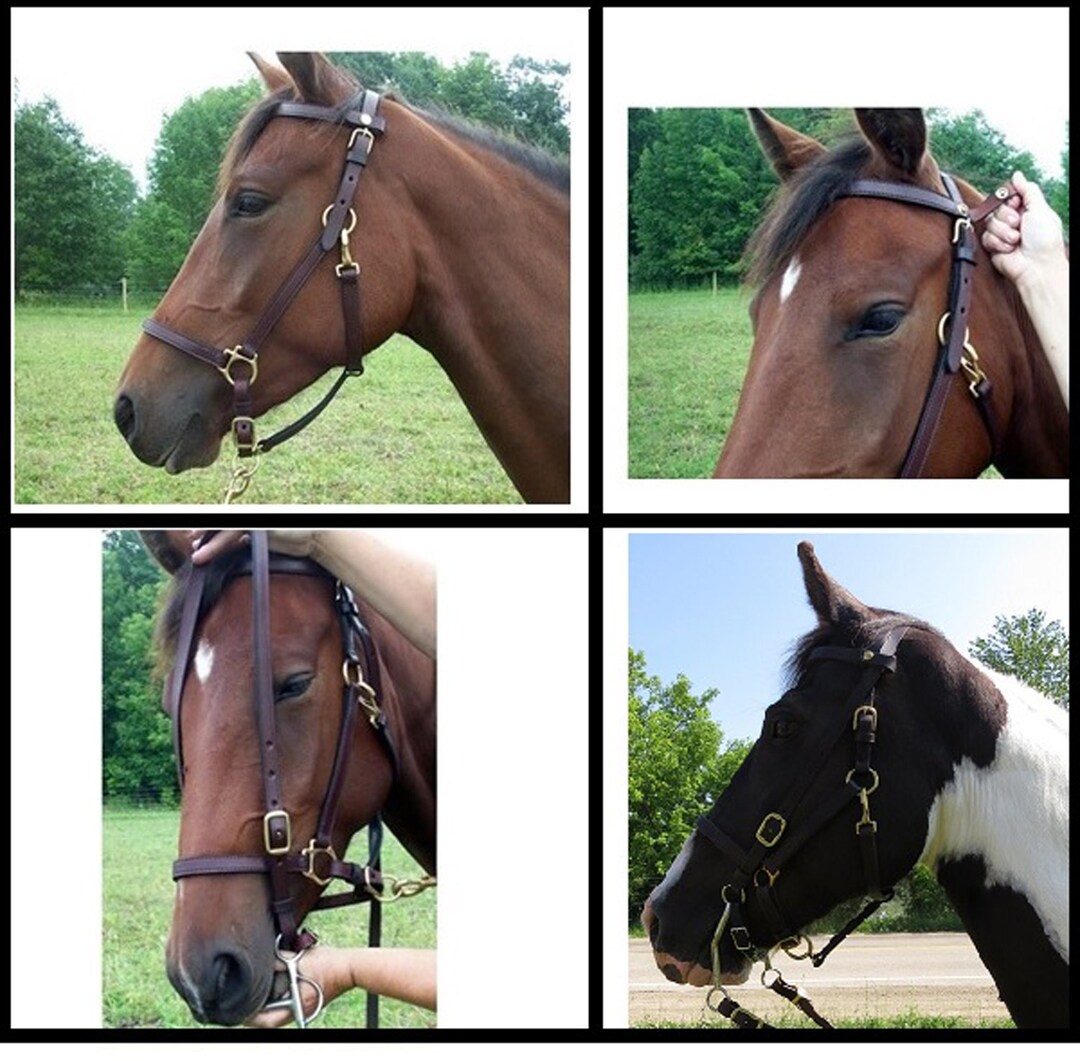 Ride N Tie Trail Bridle Easy Design Halter Bridle Combo Top Seller - Etsy