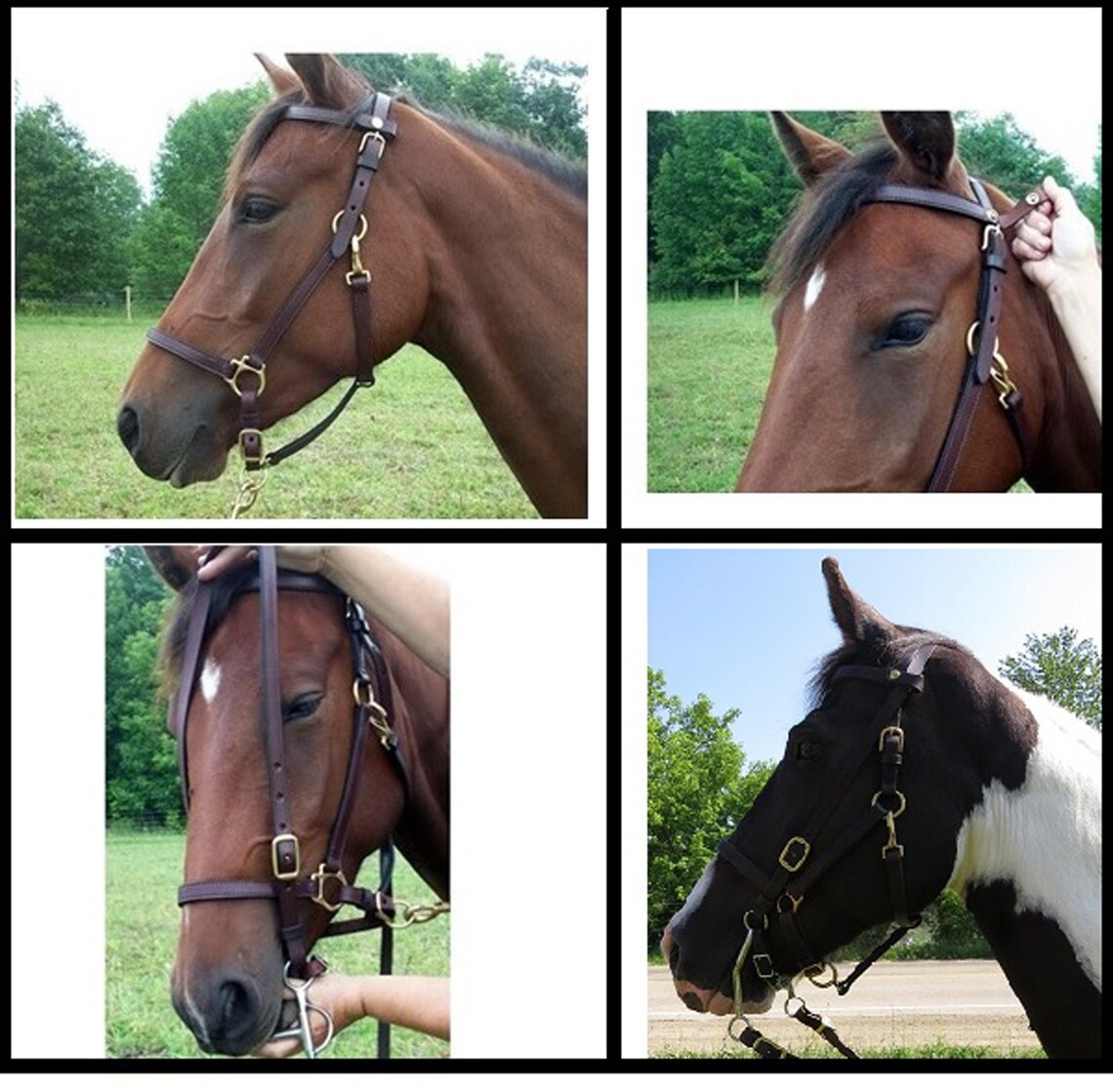 Ride N Tie Trail Bridle Easy Design Halter Bridle Combo Top Seller - Etsy