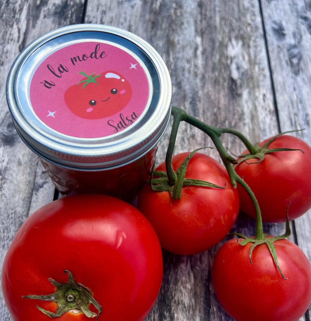 Homemade Mild Tomato Salsa - Etsy