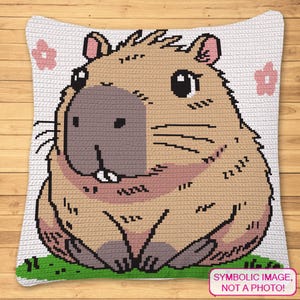 Crochet Capybara Pattern BUNDLE, C2C Crochet Pattern, Crochet Pillow ...