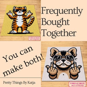 Crochet Orange Cat Pattern, C2C Crochet Pattern, Rude Crochet Pattern ...