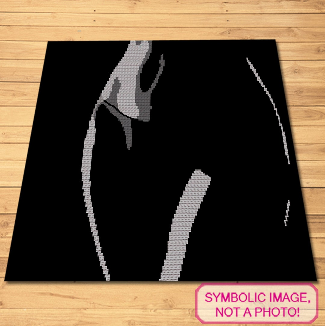 Crochet Body Pattern Tapestry Crochet Blanket Pattern, Crochet Afghan ...