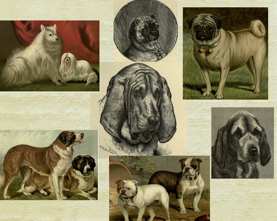 Victorian Dogs Digital Collage Sheet - Etsy