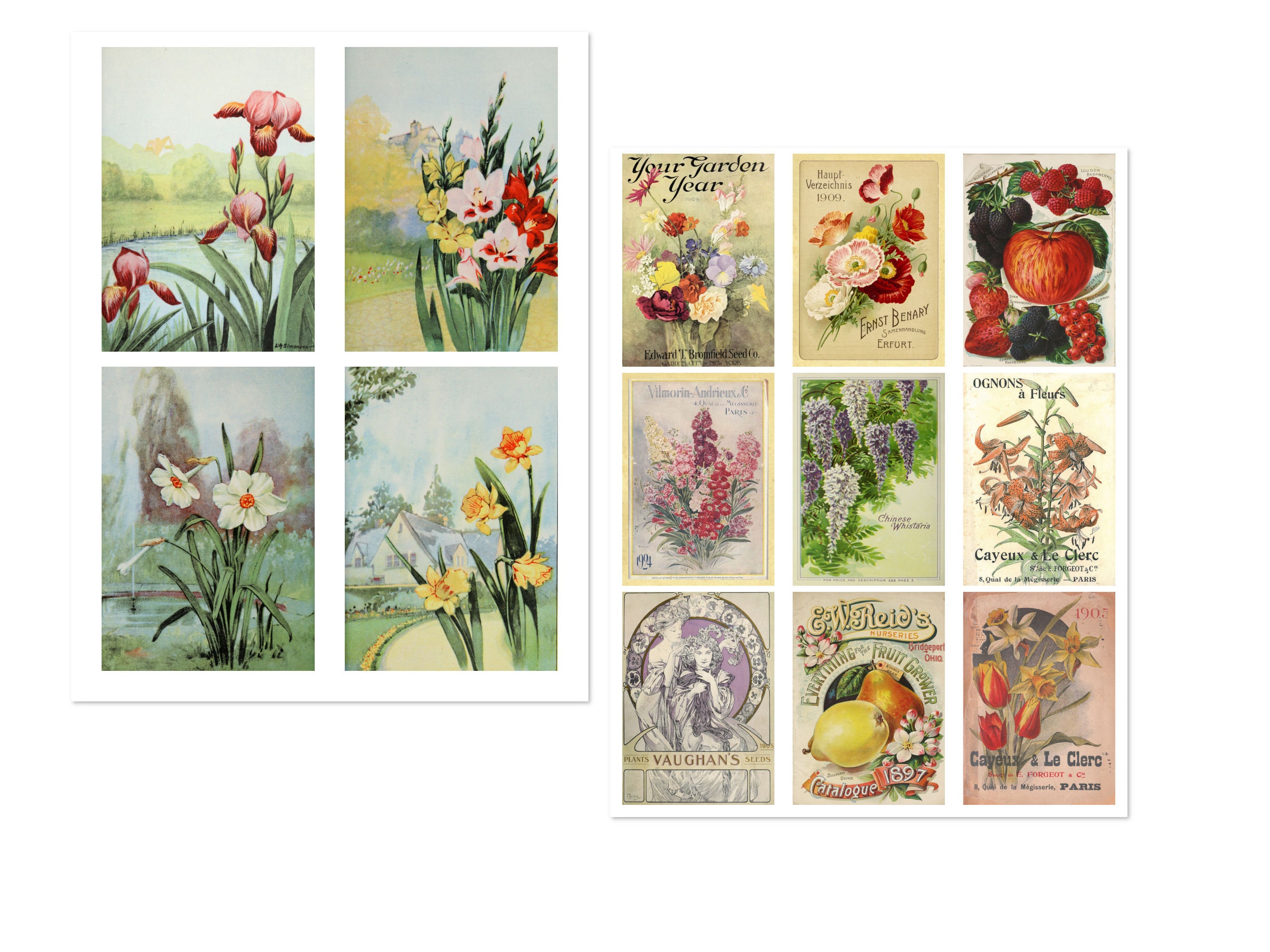 GARDEN EPHEMERA - Digital Download - Vintage Clipart - Etsy