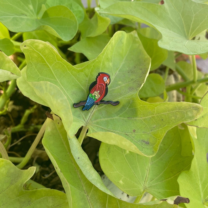 Parrot Pins - Etsy