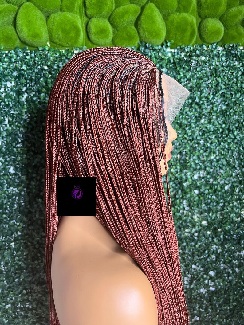 Micro Braids Full Lace Frontal Lace Braids Wigs for Black Women Updo Small Box Braided Wigs Hd ...