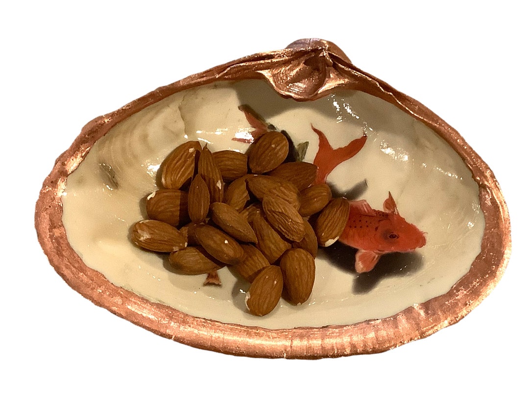 Decorative Ocean Shell , Snacks Dish, Functional Tray - Etsy
