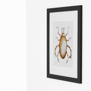 Tick Watercolor Painting Print Wall Art - Etsy