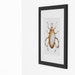 Tick Watercolor Painting Print Wall Art - Etsy