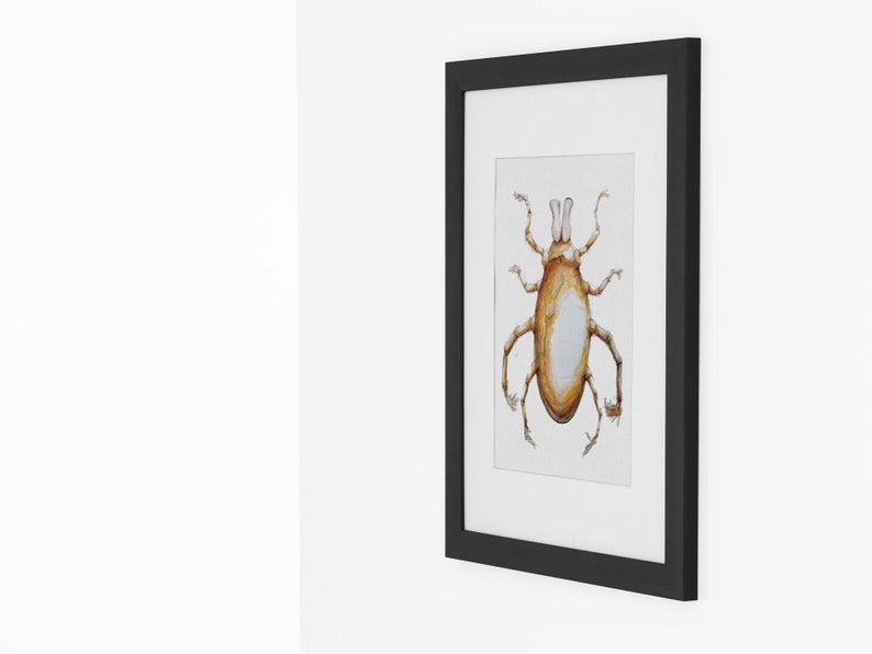 Tick Watercolor Painting Print Wall Art - Etsy