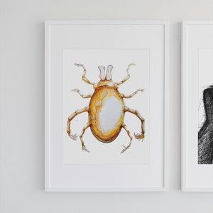 Tick Watercolor Painting Print Wall Art - Etsy