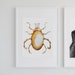 Tick Watercolor Painting Print Wall Art - Etsy