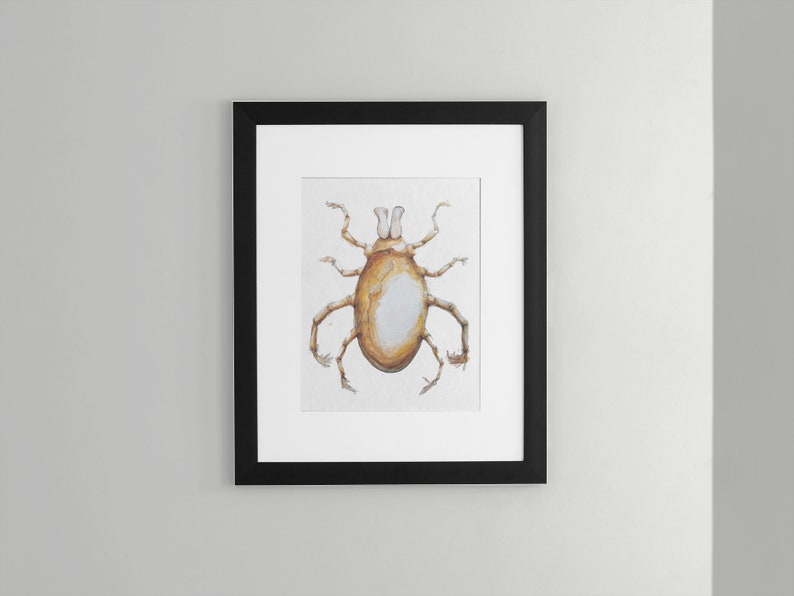 Tick Watercolor Painting Print Wall Art - Etsy