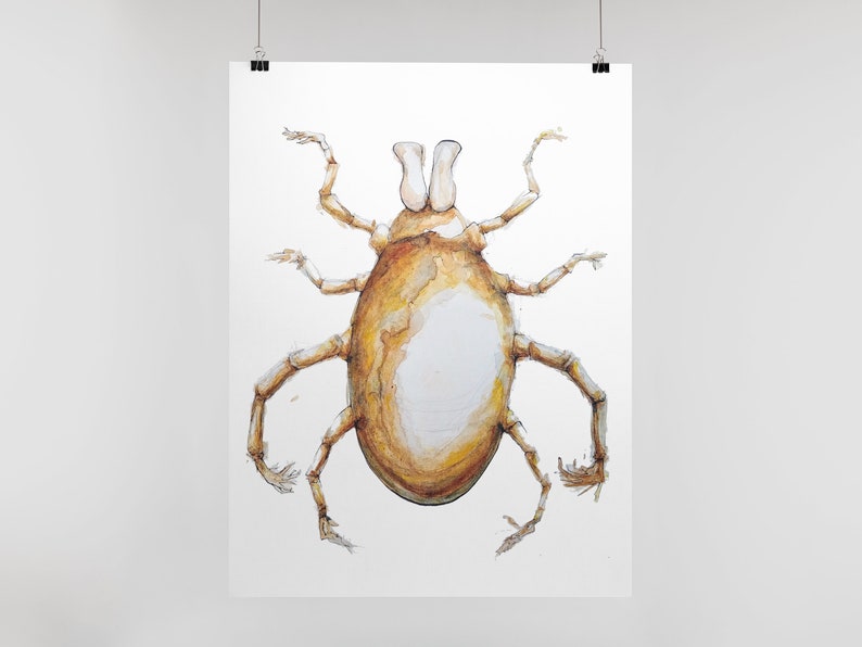 Tick Watercolor Painting Print Wall Art - Etsy