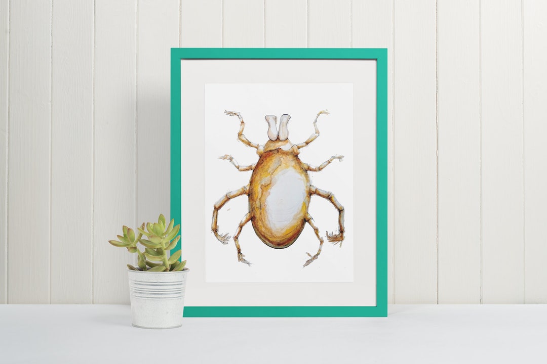 Tick Watercolor Painting Print Wall Art - Etsy
