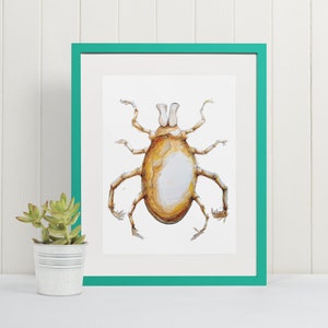 Tick Watercolor Painting Print Wall Art - Etsy