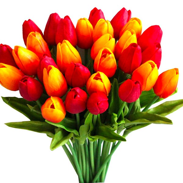 Orange Tulips - Etsy