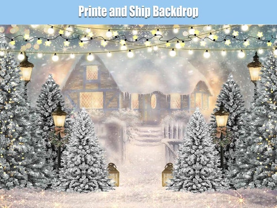 Winter Wonderland Photography Backdrop Xmas Party Photo - Etsy