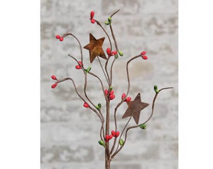 Set of 3 Pip Berry Picks With Stars, Red & Green 12 Inch Pick ...