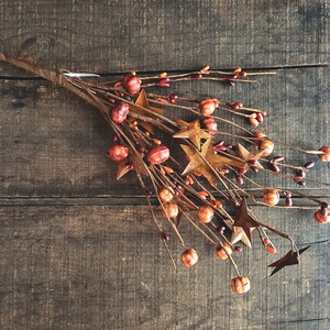 Fall Pip Berry Pick Primitive Fall Crafting and Decor Mini - Etsy