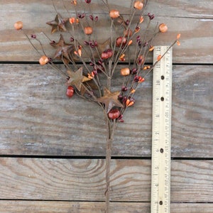 Fall Pip Berry Pick Primitive Fall Crafting and Decor Mini - Etsy