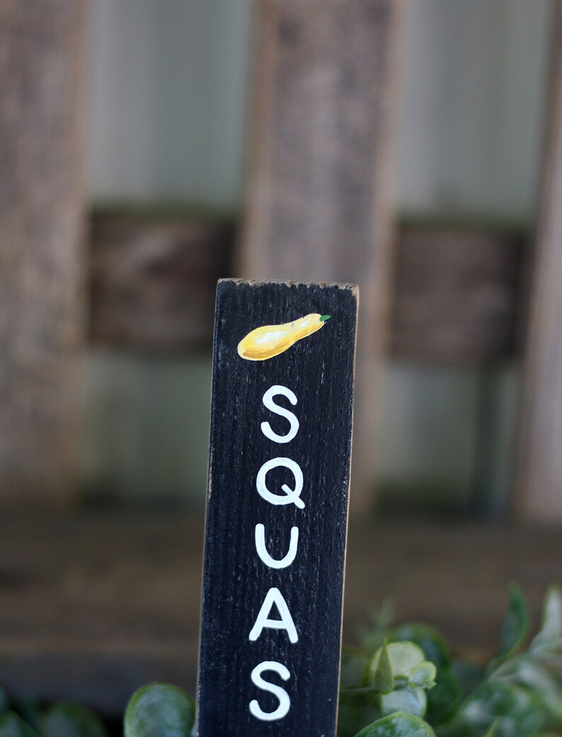 Squash Garden Marker, Custom Painted Vegetable Stake, Garden Sign, Gift ...