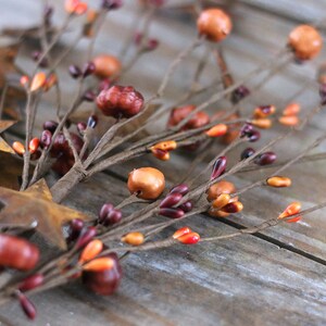 Fall Pip Berry Pick Primitive Fall Crafting and Decor Mini - Etsy