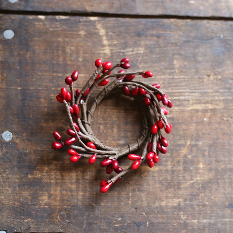 Pip Berry Garland - Etsy