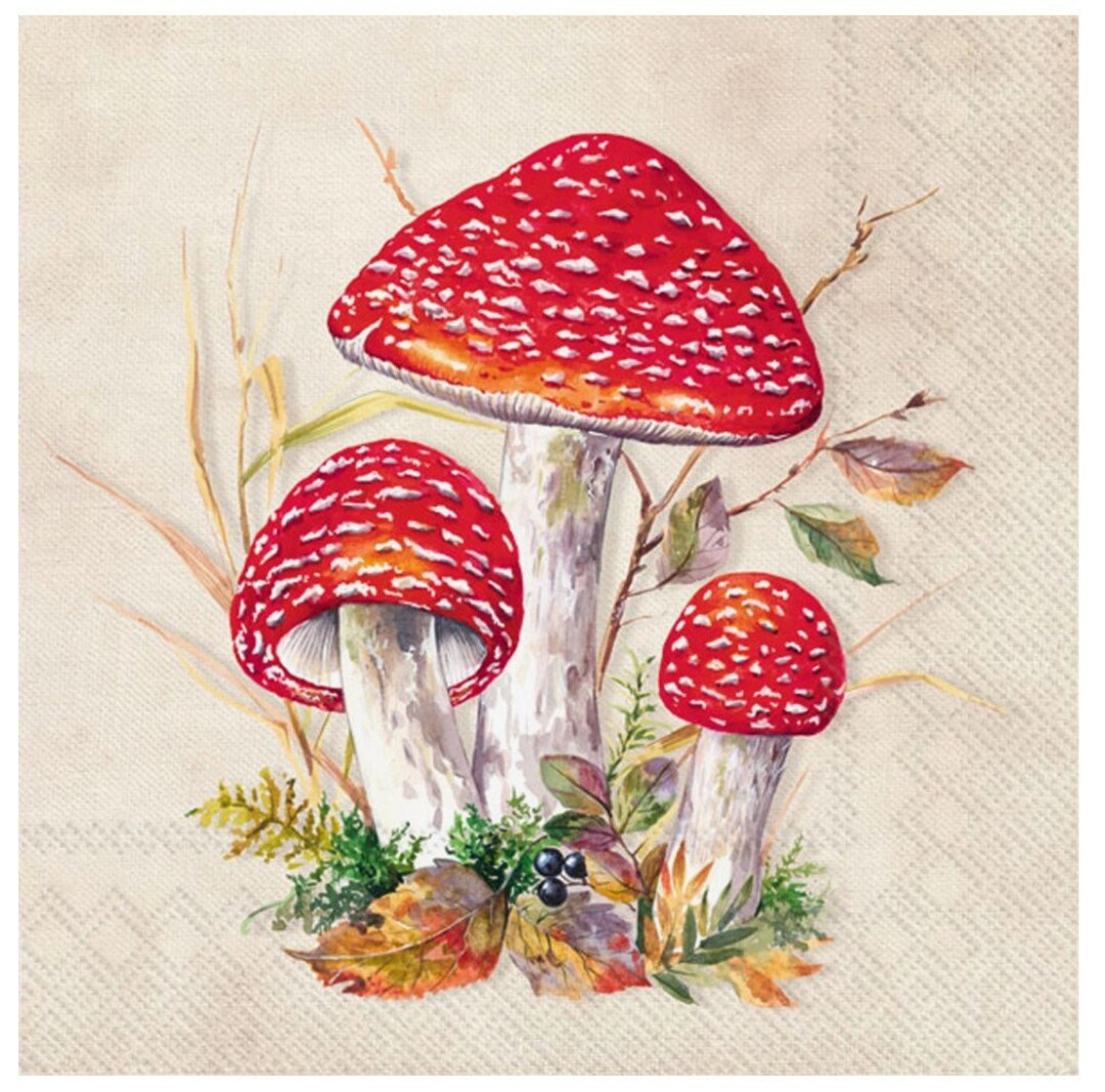 Fall Paper Napkins, Toadstool Mushroom Luncheon Napkins, Pack of 20 ...