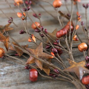 Fall Pip Berry Pick Primitive Fall Crafting and Decor Mini - Etsy