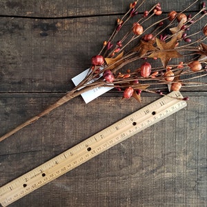 Fall Pip Berry Pick Primitive Fall Crafting and Decor Mini - Etsy