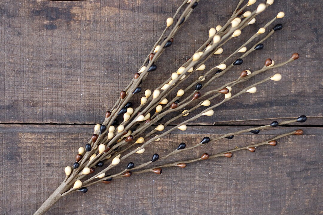 Pip Berry Picks (set of 2); Brown, Cream, & Dark Navy Blue 18 Inch ...