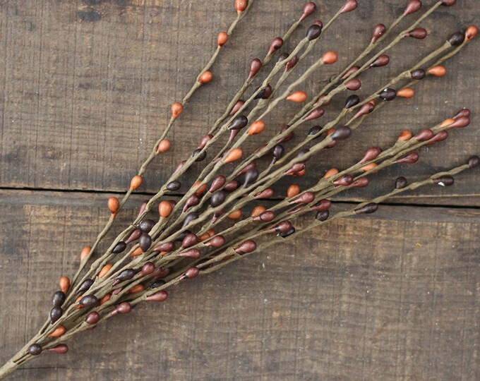 Pip Berry Picks (set of 2); Burnt Orange Rust Red & Brown 18 Inch ...