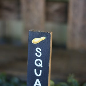 Squash Garden Marker, Custom Painted Vegetable Stake, Garden Sign, Gift ...