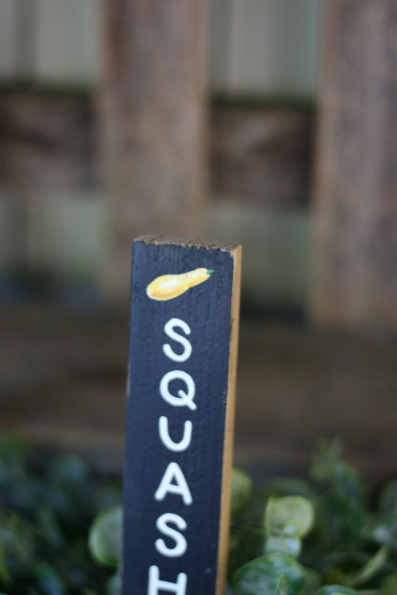 Squash Garden Marker, Custom Painted Vegetable Stake, Garden Sign, Gift ...