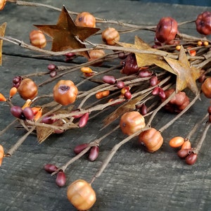 Fall Pip Berry Pick Primitive Fall Crafting and Decor Mini - Etsy