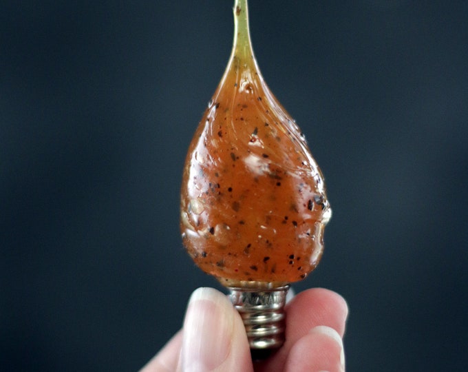 Silicone Dipped Light Bulb, Hazelnut Scented Light Bulb, 4 Watt Candle ...