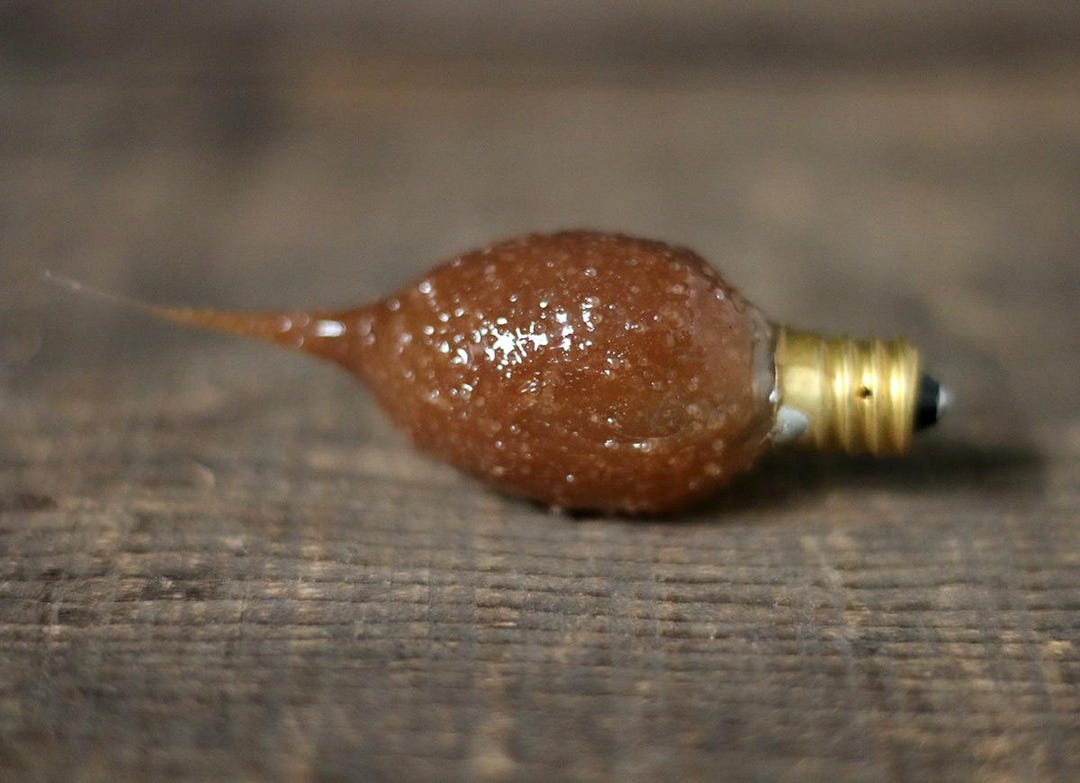 Silicone Dipped Light Bulb, Brown Unscented Light Bulb, 5 Watt Candle ...