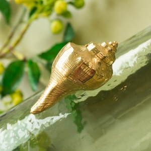 Brass Conch Knobs,kitchen Cabinet Knobs,brass Drawer Knob,drawer Pulls ...