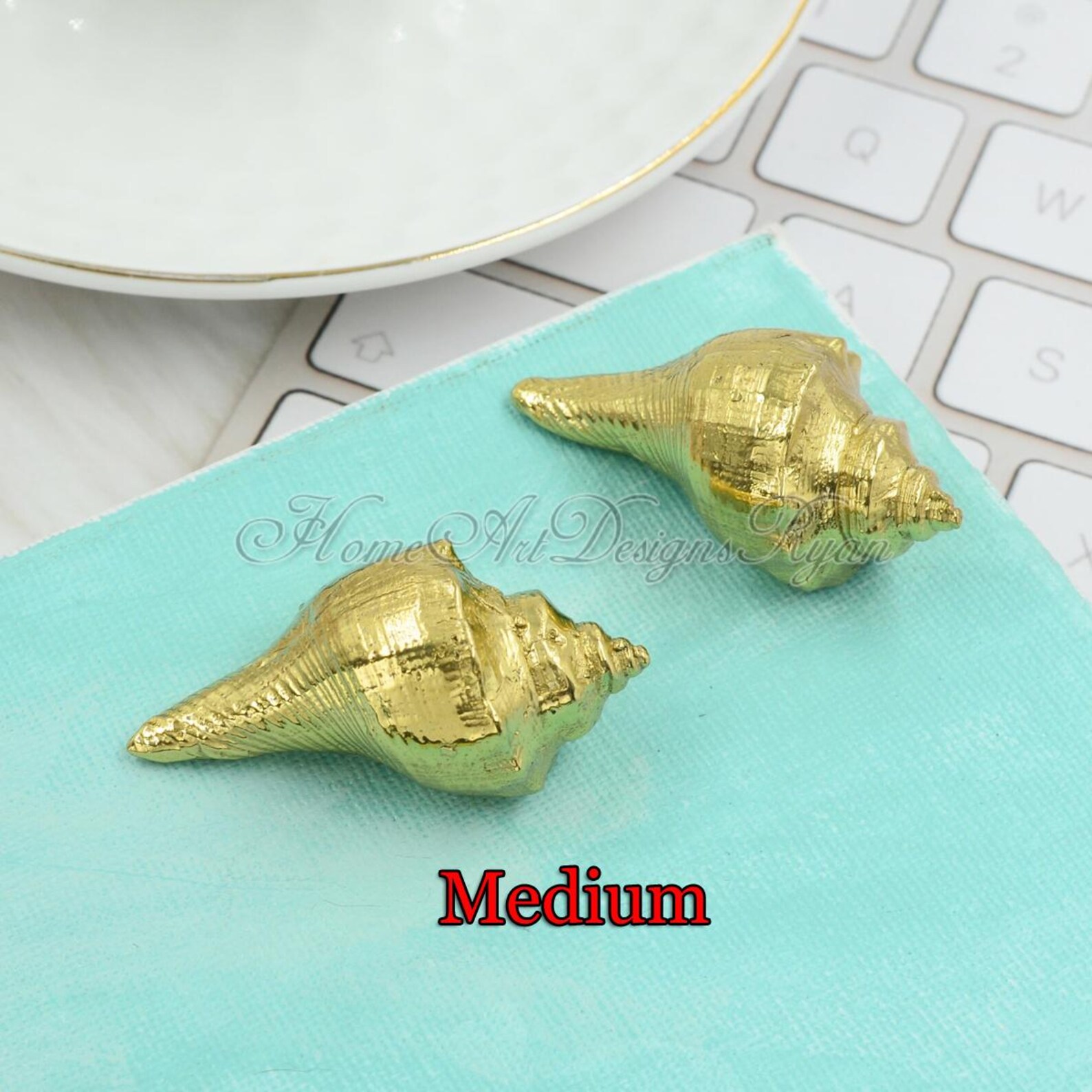 Brass Conch Knobs,kitchen Cabinet Knobs,brass Drawer Knob,drawer Pulls ...