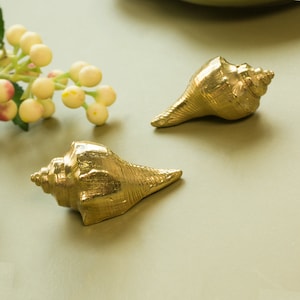 Brass Conch Knobs,kitchen Cabinet Knobs,brass Drawer Knob,drawer Pulls ...