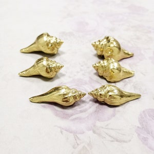 Brass Conch Knobs,kitchen Cabinet Knobs,brass Drawer Knob,drawer Pulls ...